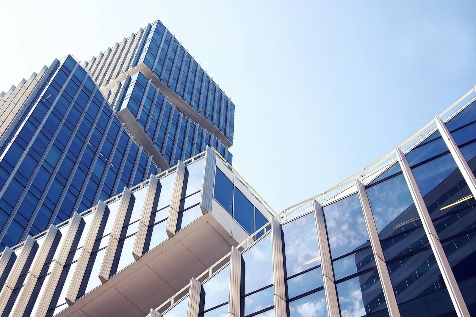 Hawaii Business Entity Search: 2025 Step-by-Step Guide